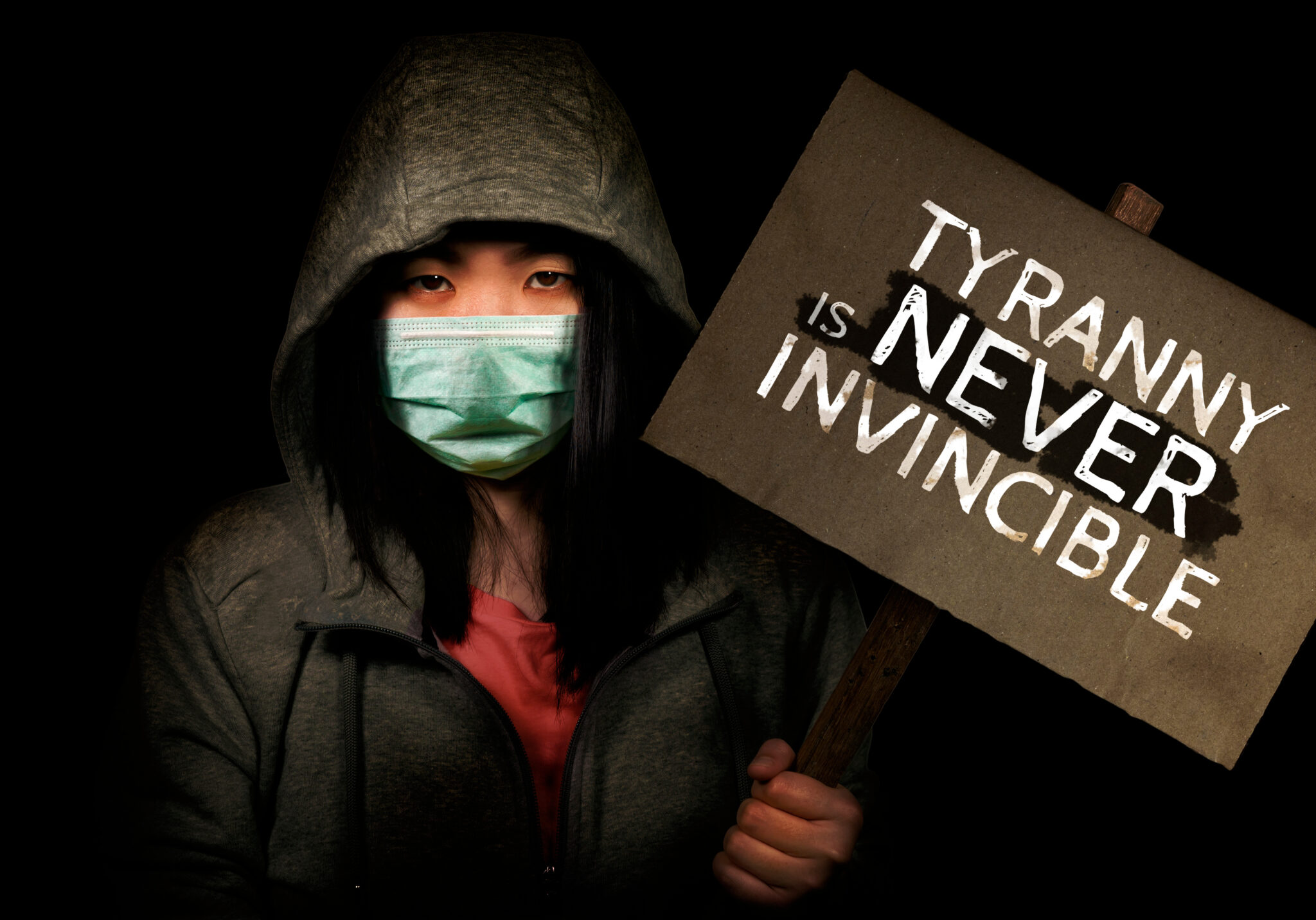 Bearing Witness: The Fight for Human Rights and the Stories that ...